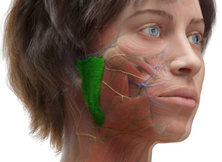 Soor- und Parotitsprophylaxe | Pflegerio