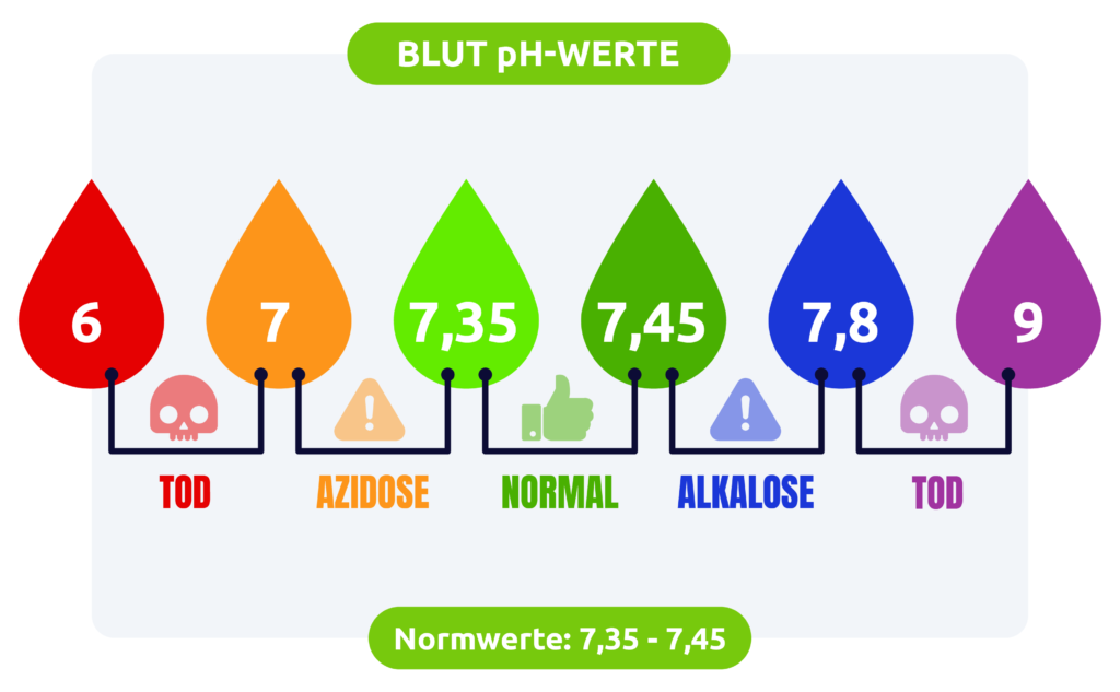 Blut: Histologie, Physiologie, Pathologie | Pflegerio