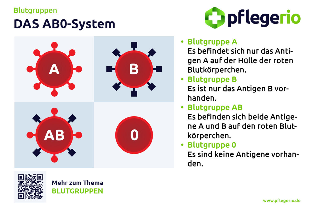 Blutgruppen - AB0-System - Pflegerio