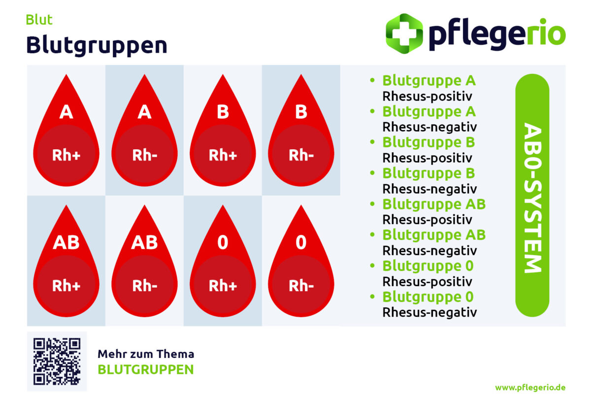 Blutgruppen - Übersicht - Pflegerio